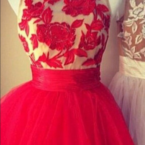 Elegant Scoop Appliques Homecoming Dress,short Tulle Homecoming Dress ...